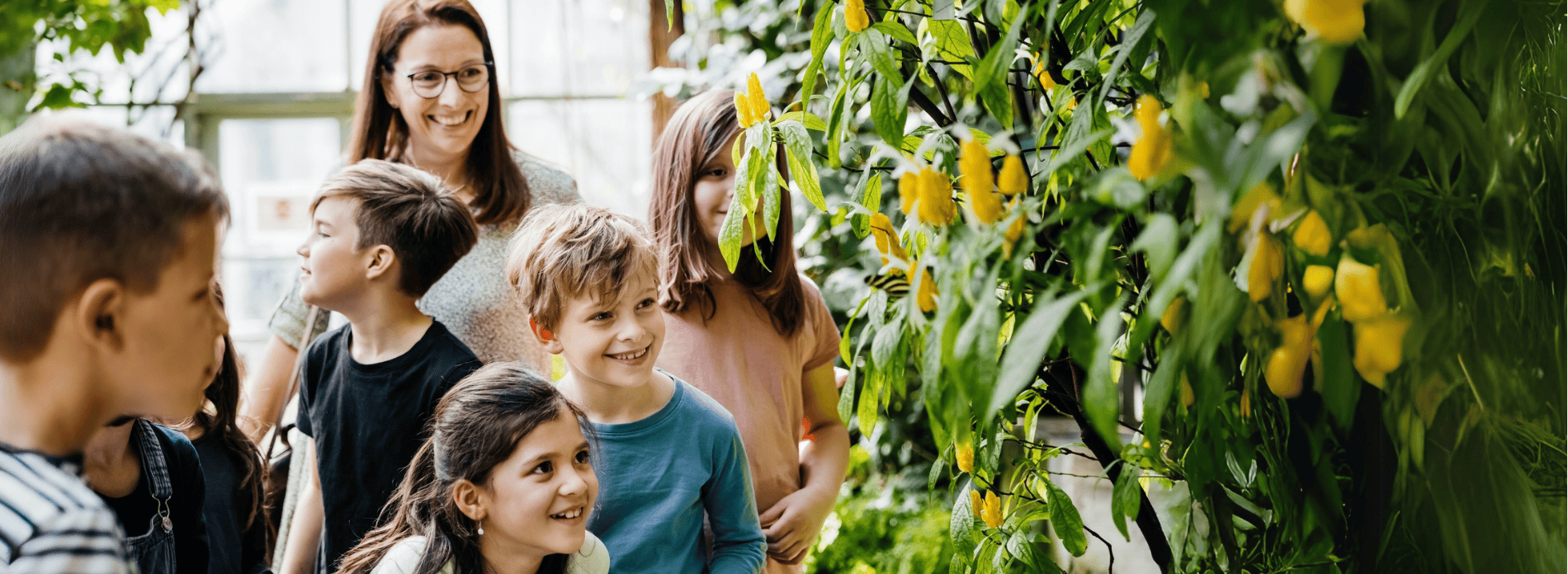 Organiser une sortie scolaire dans le premier degré